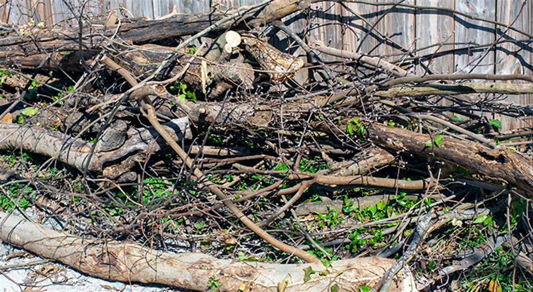 Large Limbs | City of Fayetteville, N.C.